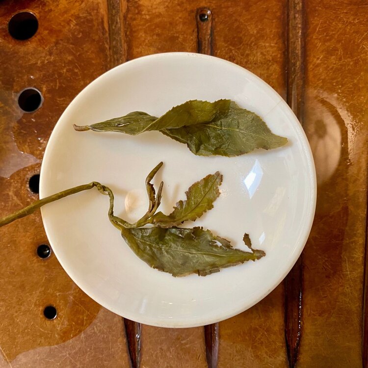 Shan Lin Xi High Mountain Pink Blossom - Teance Fine Teas