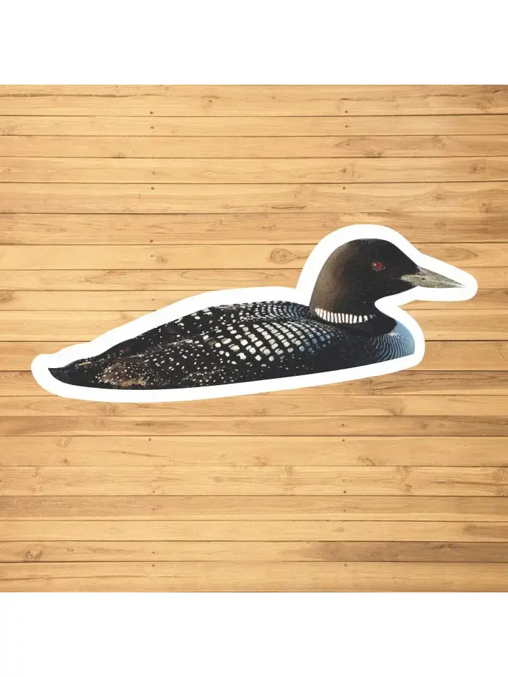 Minnesota Awesome Loon Photo Minnesota Vinyl Sticker - Duluth Kitchen Co