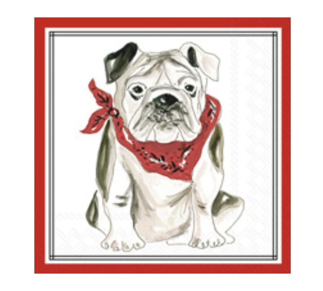 Boston International CKTL/RED BULLDOG HOMETOWN PRIDE - Duluth Kitchen Co