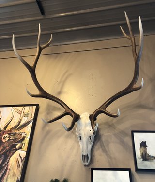 Mounts - Big Bear Furniture