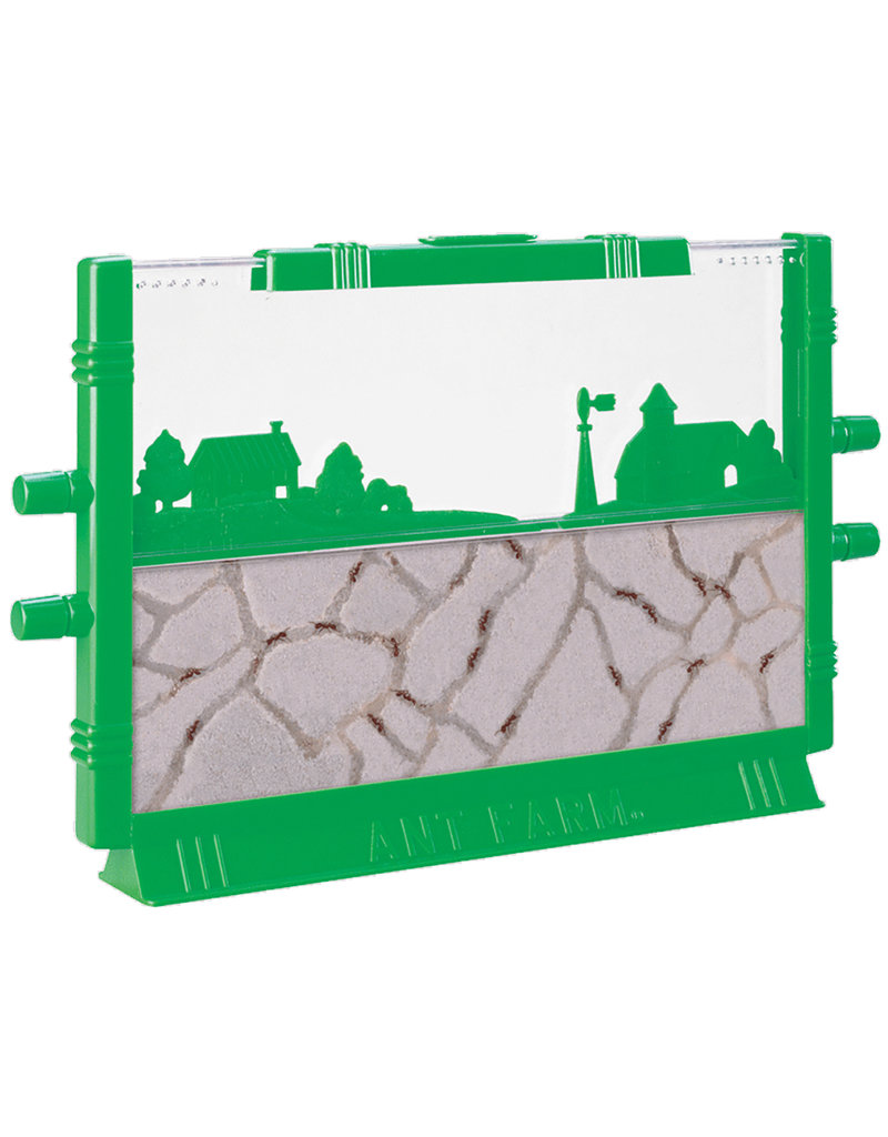 Ant Farm