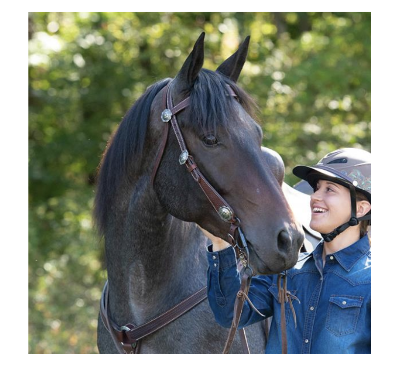 Calabasas Saddlery - Weaver Basin Cowboy Headstall - Calabasas Saddlery