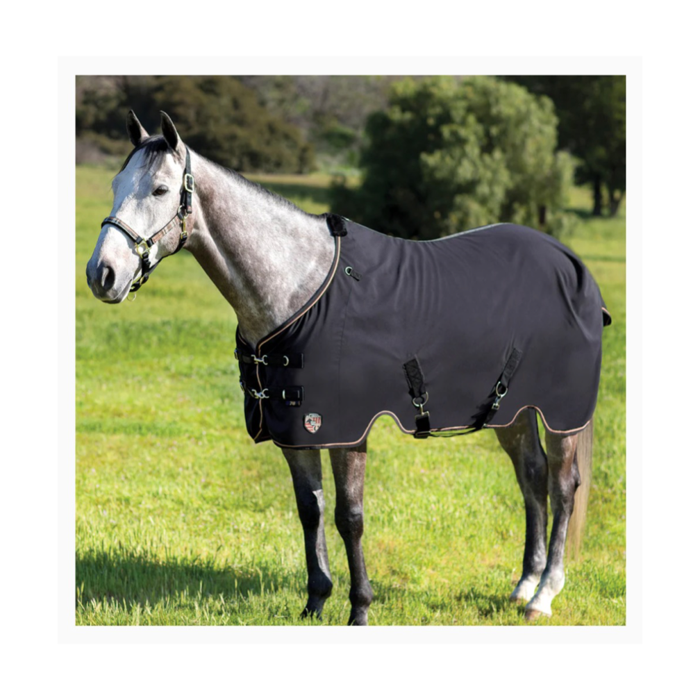 Calabasas Saddlery - Kensington Cotton SureFit Stable Sheet - Calabasas ...
