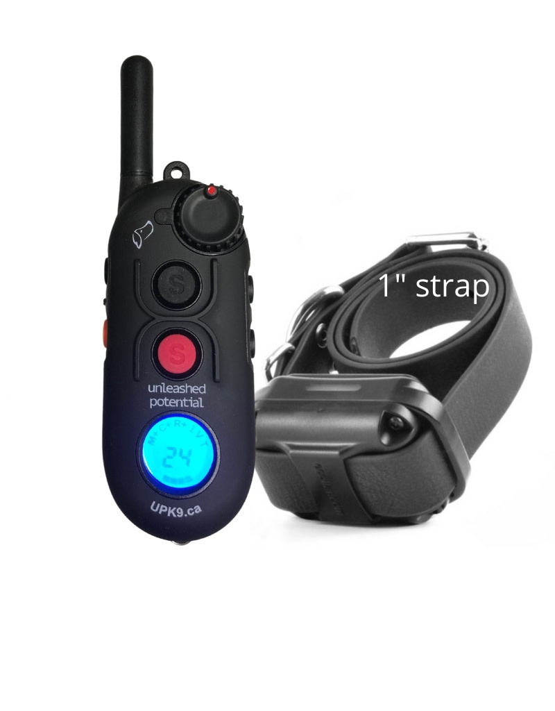 Easy 900 E Collar System w/ RX-120 - Unleashed Potential K9