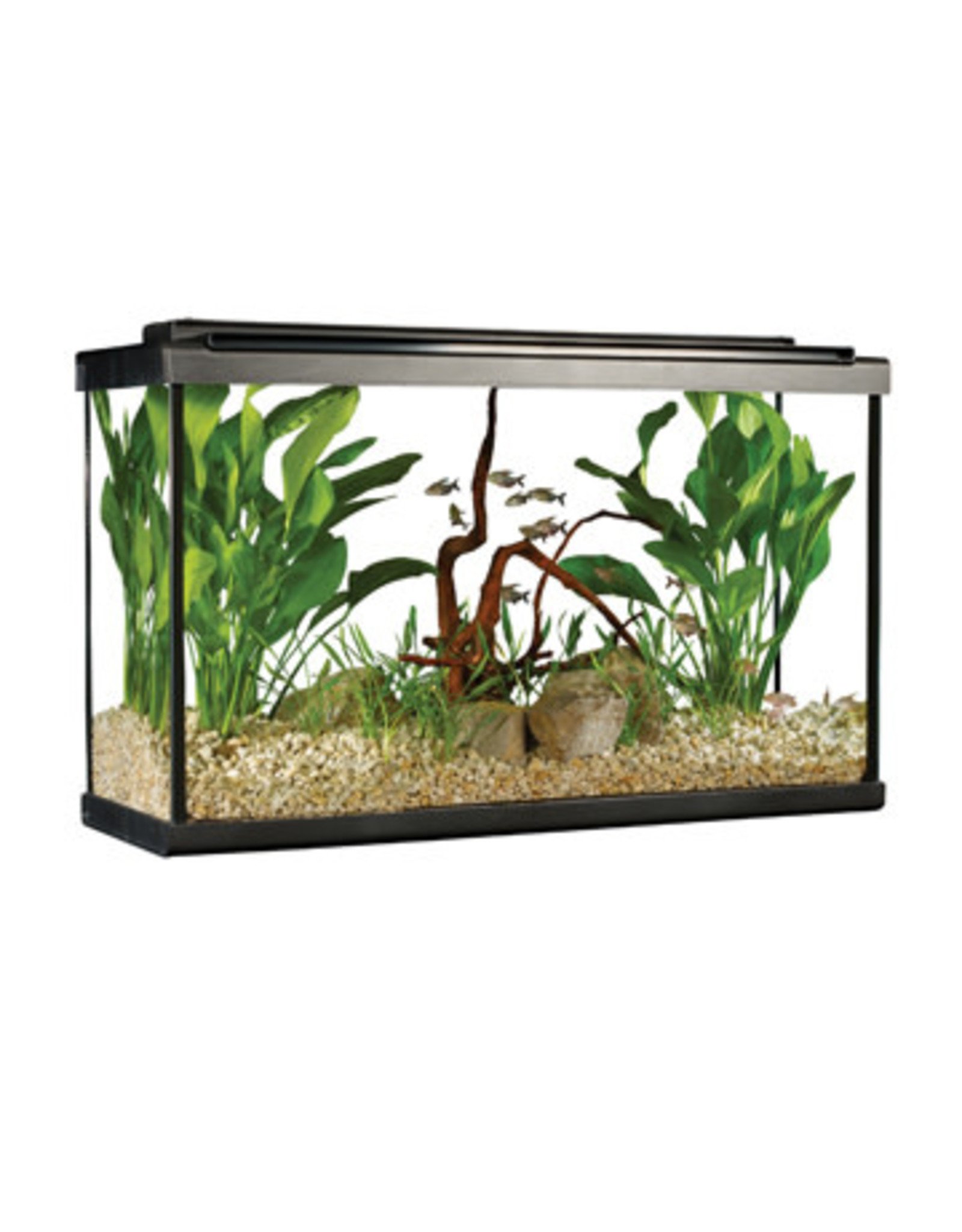 Fluval Fluval Premium Aquarium Kit with LED - 29 Tall - 110 L (29 US ...
