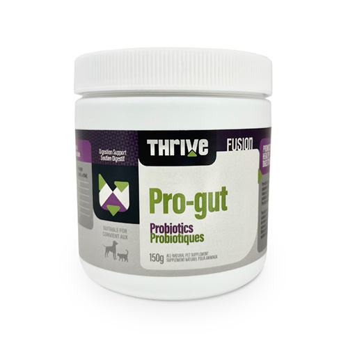 Thrive Progut Probiotic 150g - Western Pet Supply
