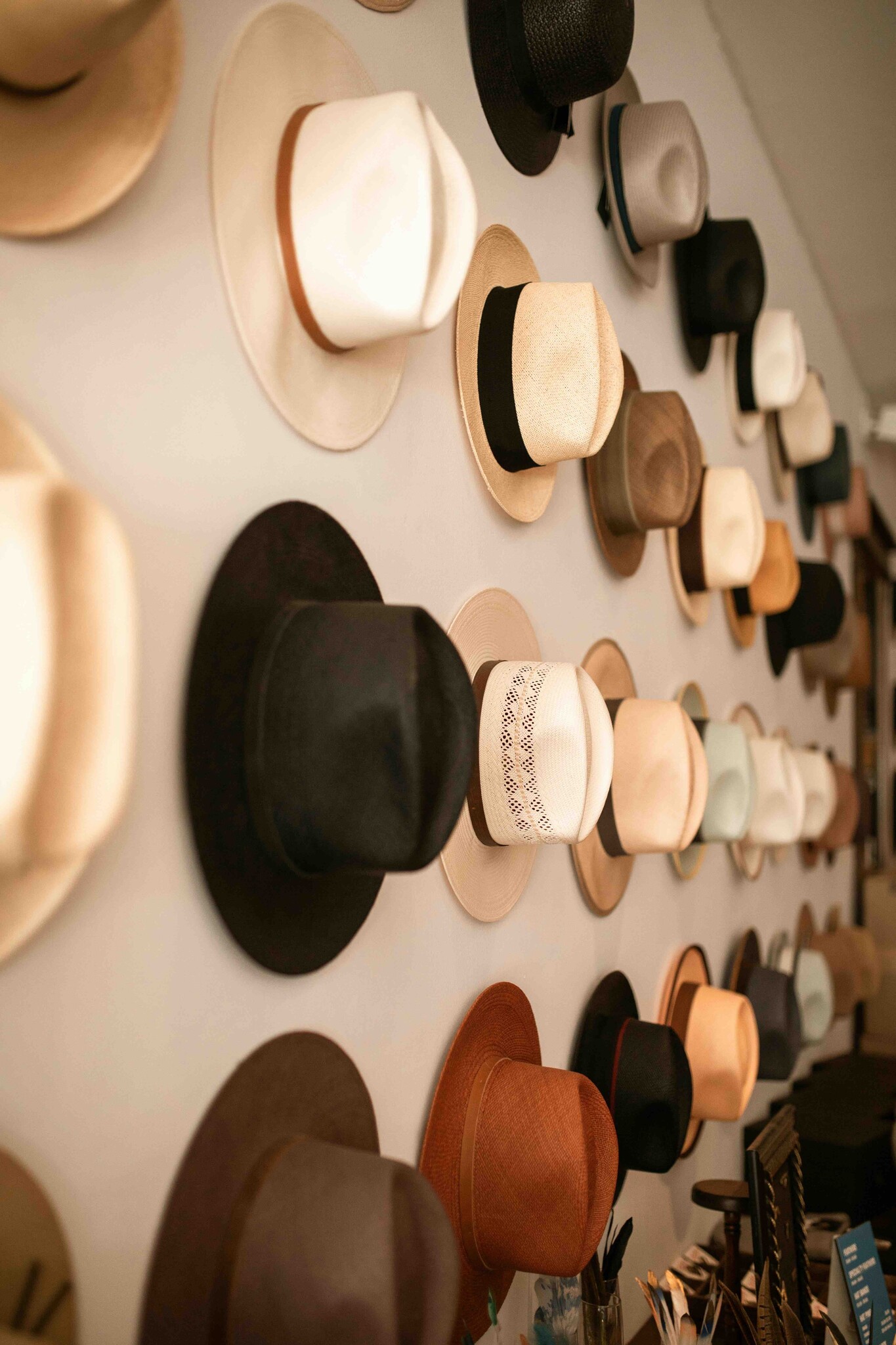 Les différents modèles de chapeaux | Henri Henri - Henri Henri