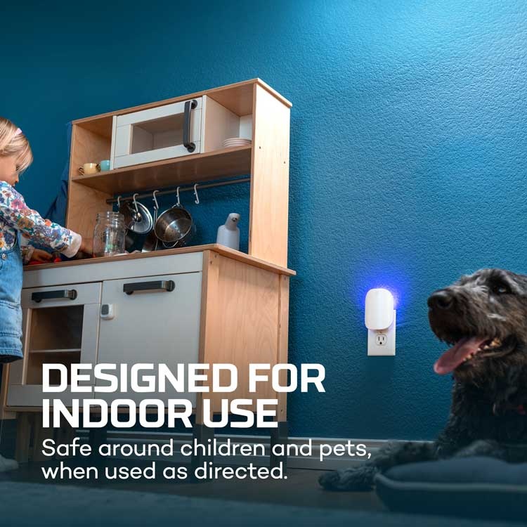 Indoor Flying Insect Trap Starter Kit - The Gadget Company