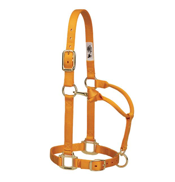 Weaver Licou Weaver Ajustable - Moutarde - D&R Boutique équestre inc
