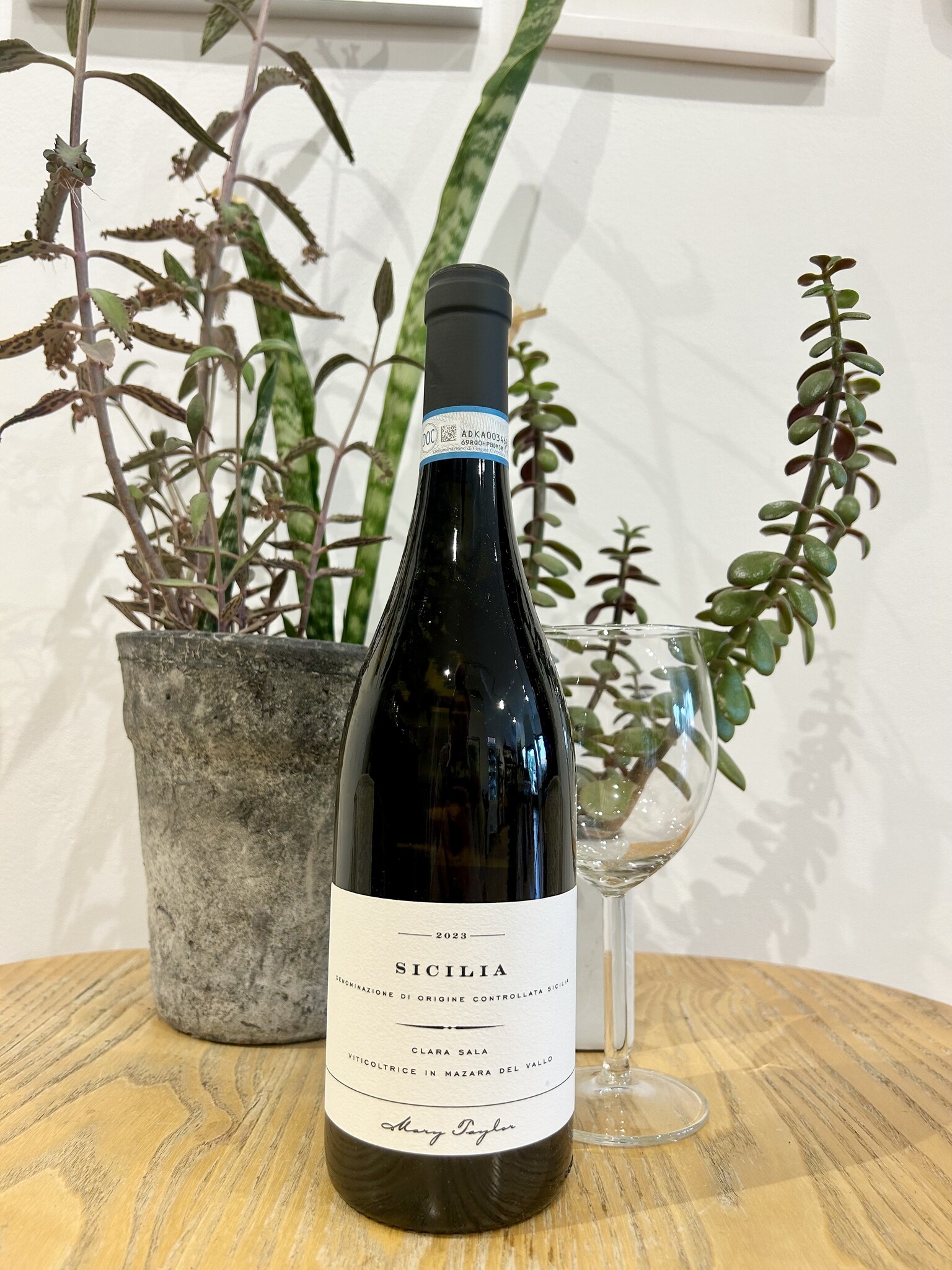 Clara Sala Sicilia Bianco 2023 (A Mary Taylor Wine) - Upstream Wine and ...