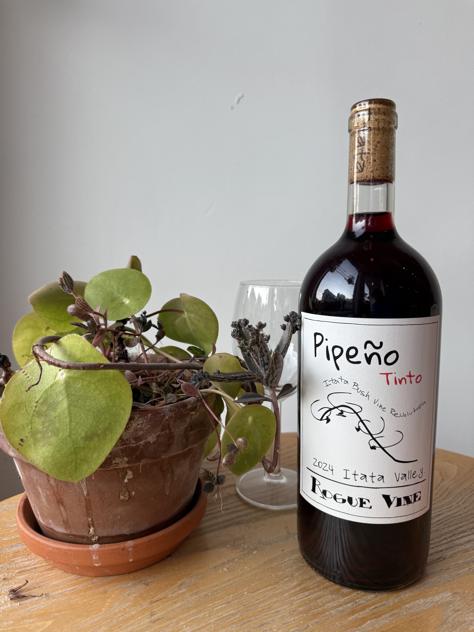 Rogue Vine Pipeno Tinto 2024 1L - Upstream Wine and Spirits