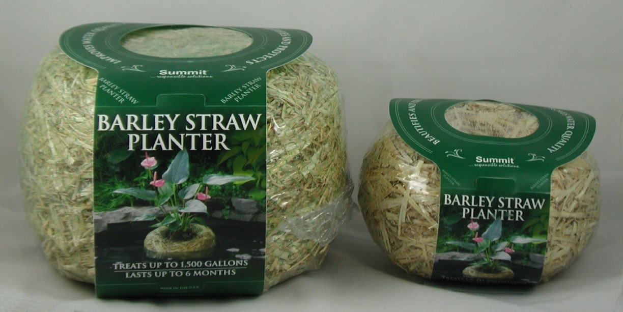 BARLEY STRAW PLANTER 11 X 11 - Pickering Valley Feed & Farm Store