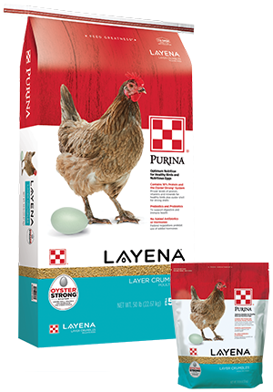 LAYENA CRUMBLES 50LBS - Pickering Valley Feed & Farm Store