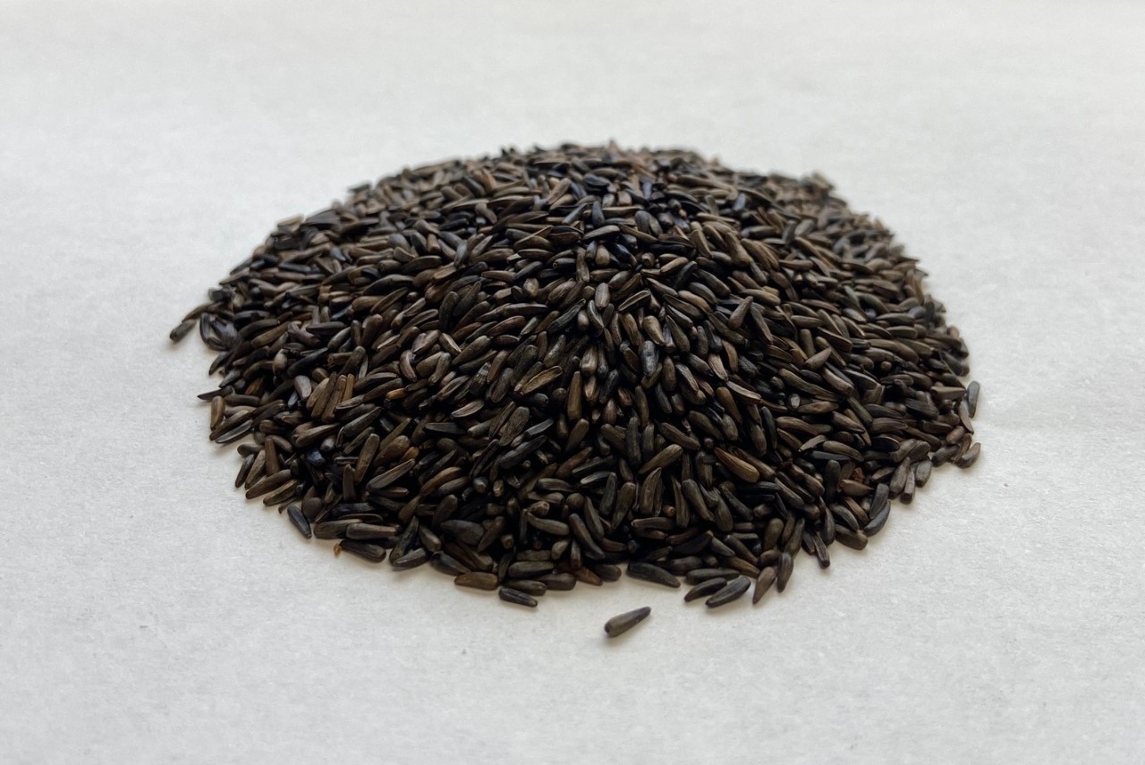 NYJER SEED 50# - Pickering Valley Feed & Farm Store