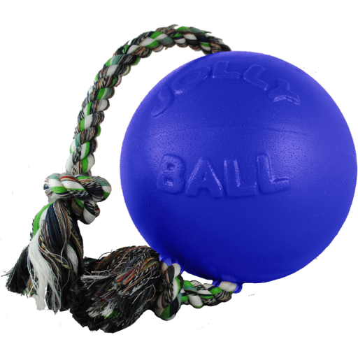 Jolly Pets Jolly Pets Romp-N-Roll Ball Blue Large Dog Toy - Pickering ...