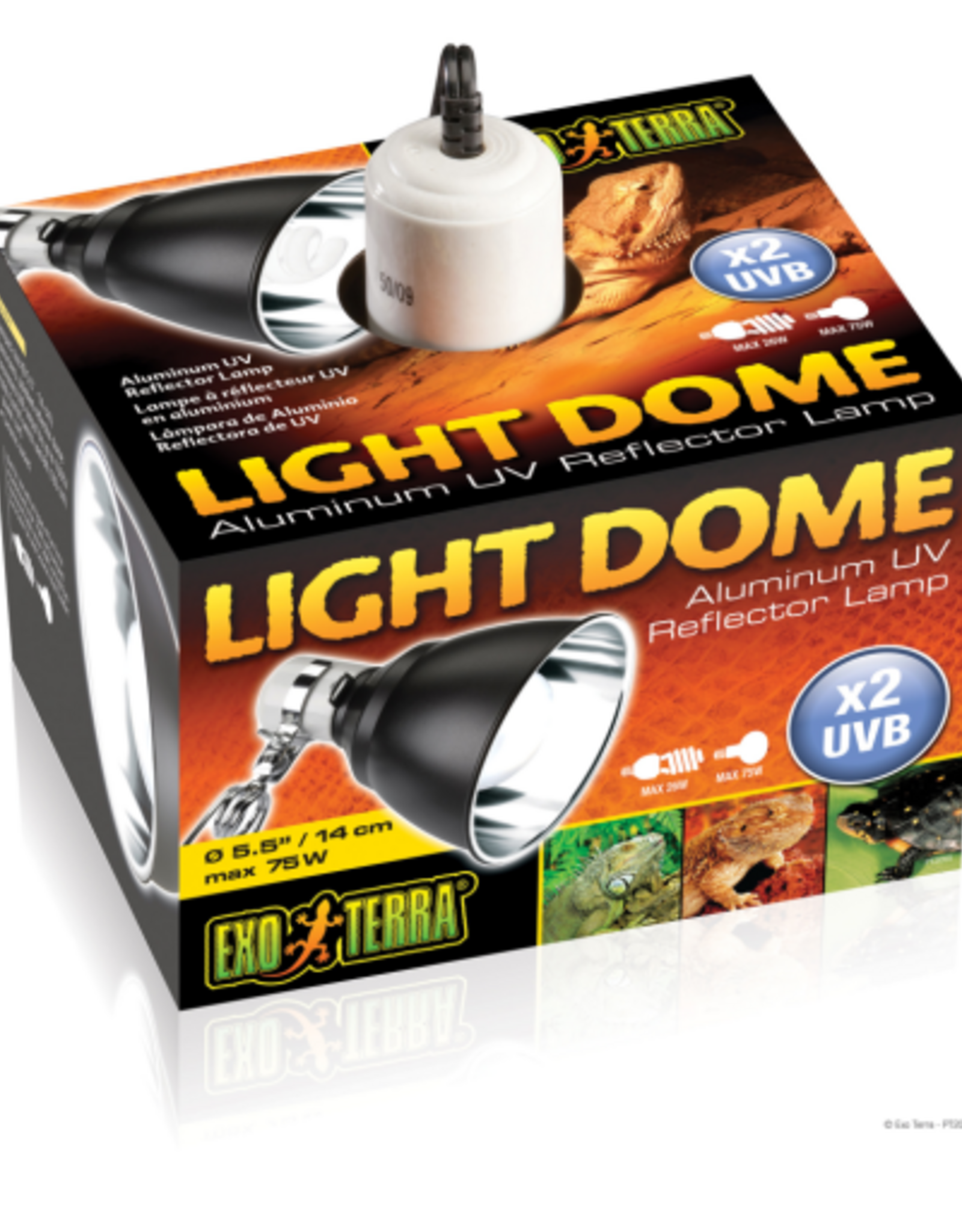 Exo Terra Exo Terra Mirror Dome Light 5-1/2-Inch - Pickering Valley ...