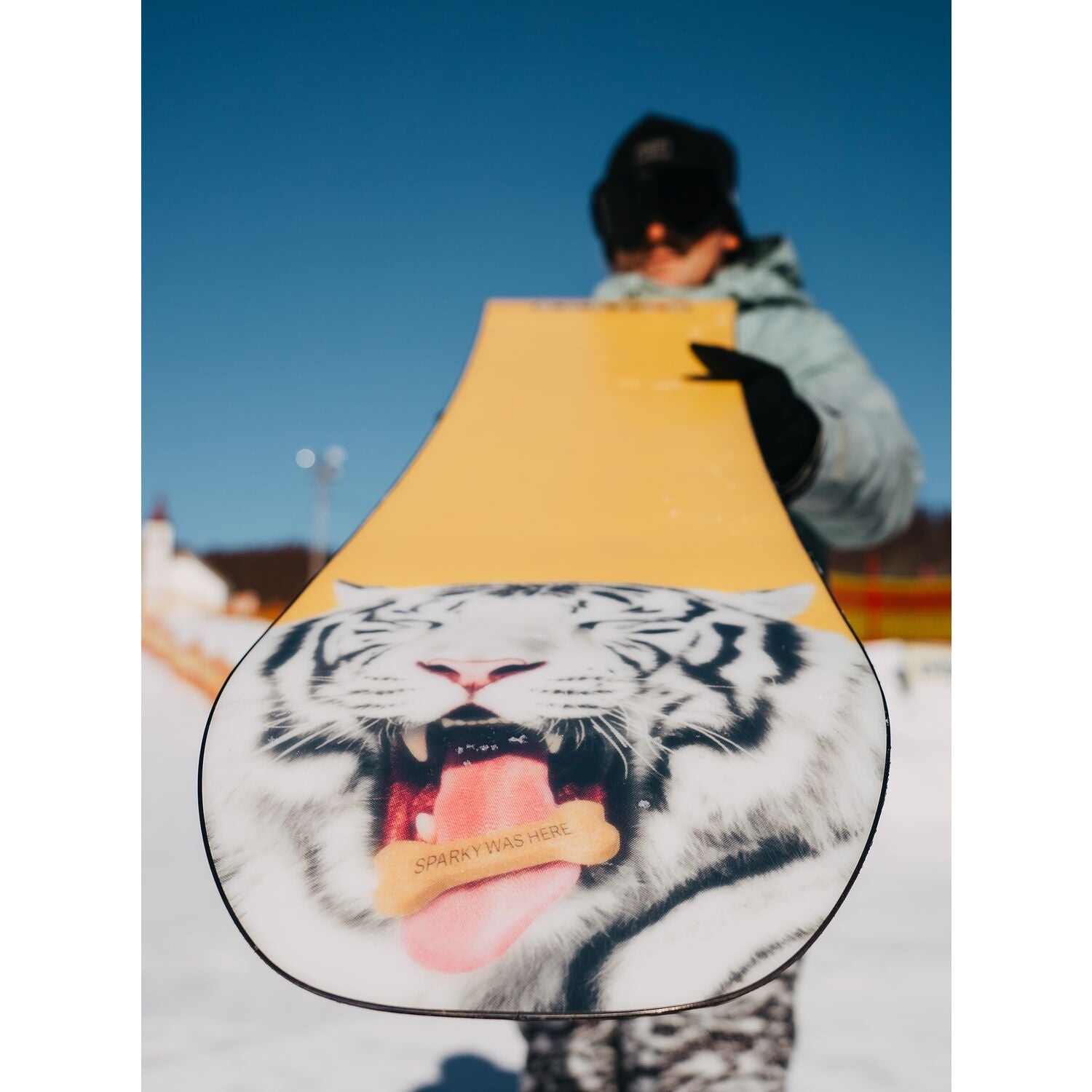 BURTON PROCESS CAMBER SNOWBOARD 2025 - ONE Boardshop