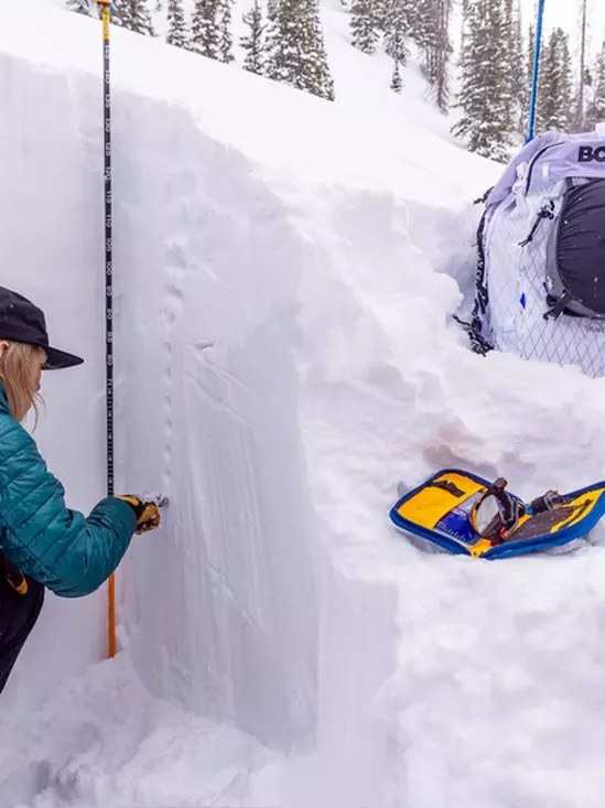 BCA SNOW STUDY KIT 2025 - ONE Boardshop
