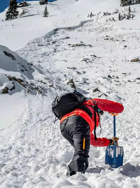 BCA DOZER 2D SHOVEL 2025 - ONE Boardshop