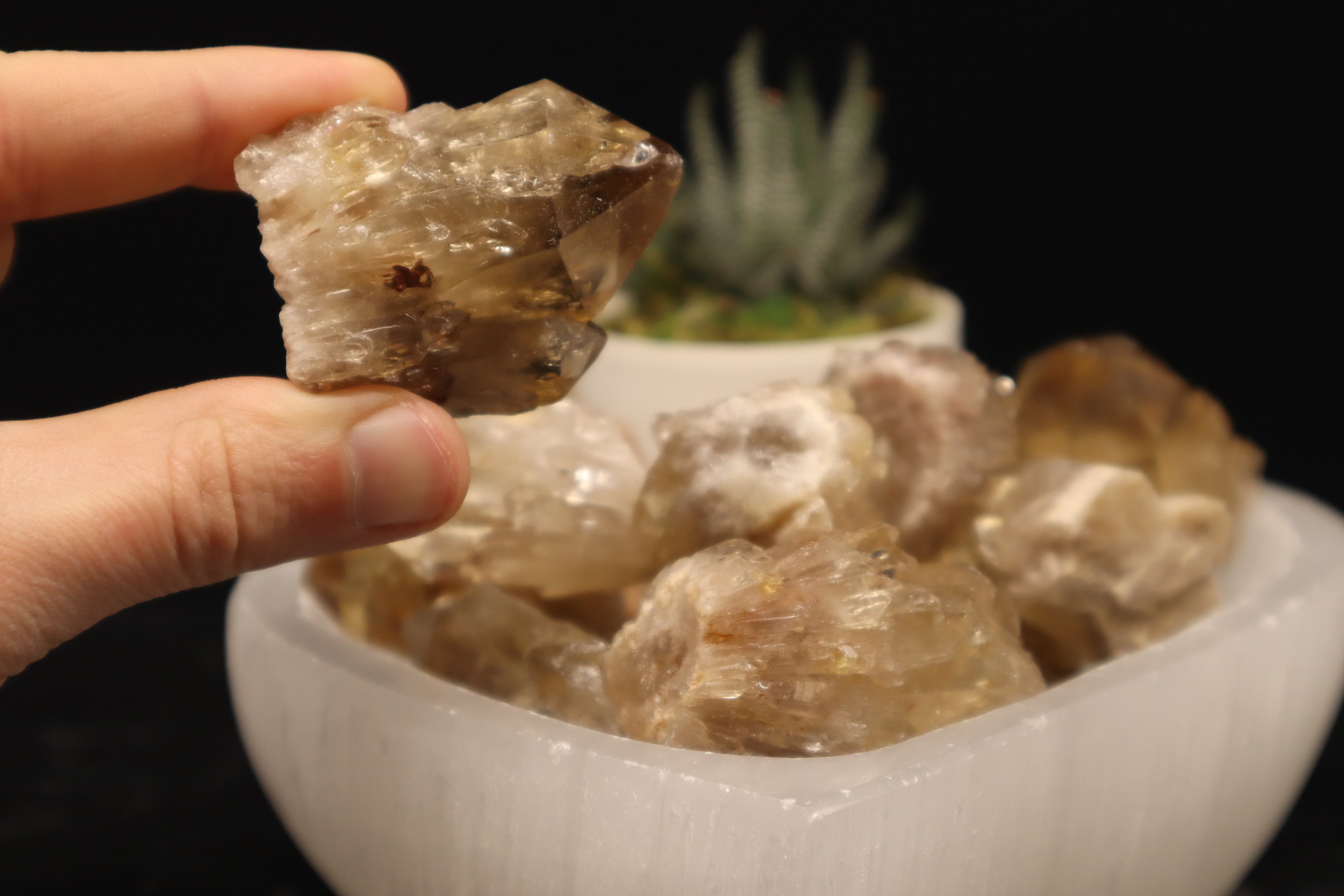 Large Congo Citrine Clusters - Awakenings