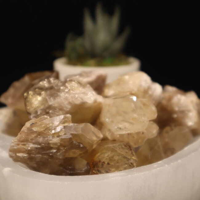 Large Congo Citrine Clusters - Awakenings