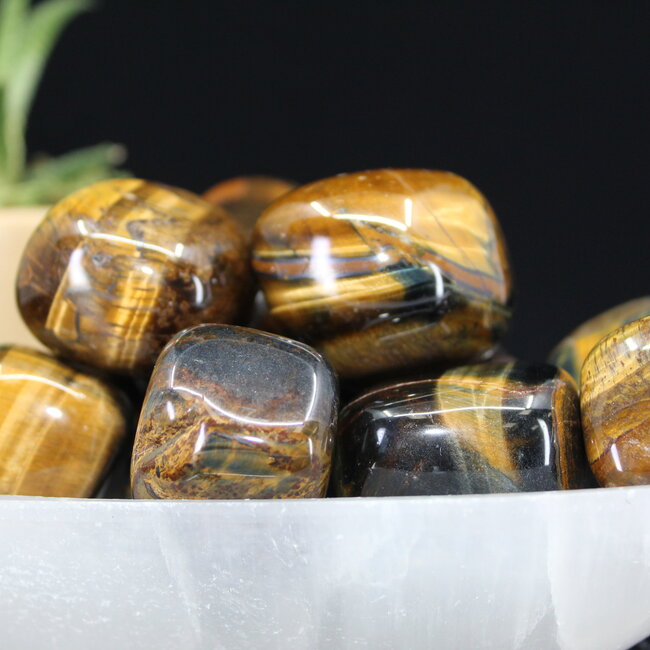Hawk Eye/Blue Tiger Eye Tumble -XXL - Awakenings