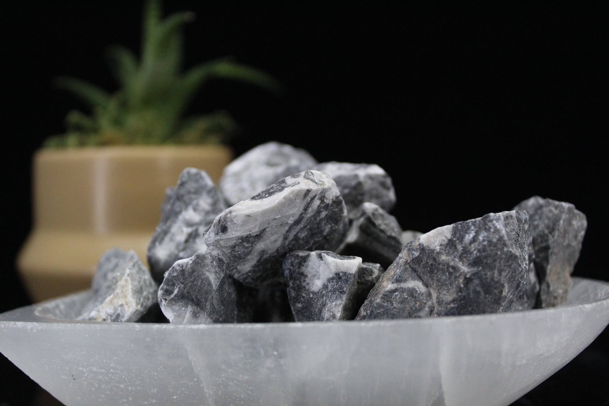 Mexican Fossil Stone - Rough - Awakenings