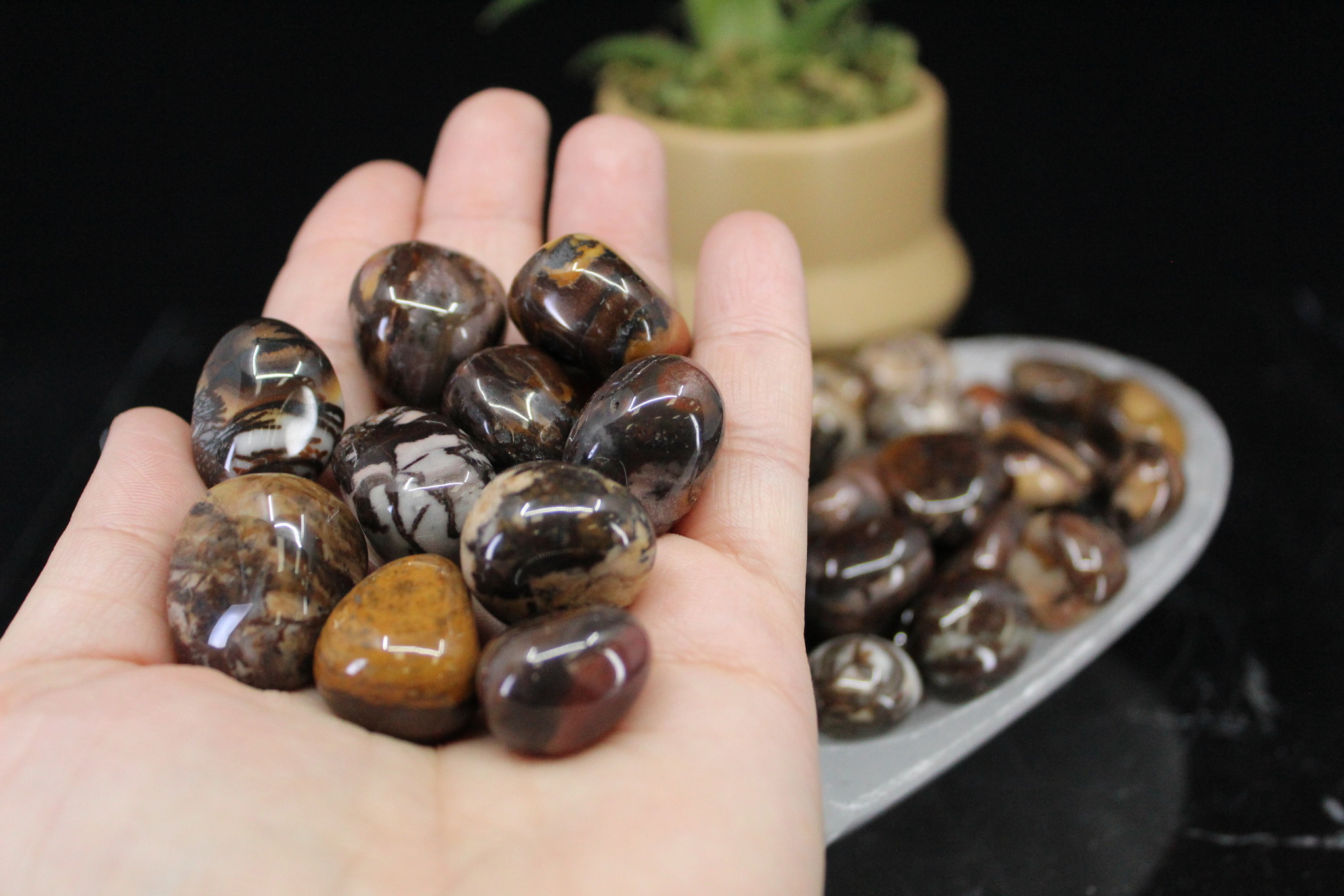 Bamboo Leaf Agate - Tumbled - Awakenings