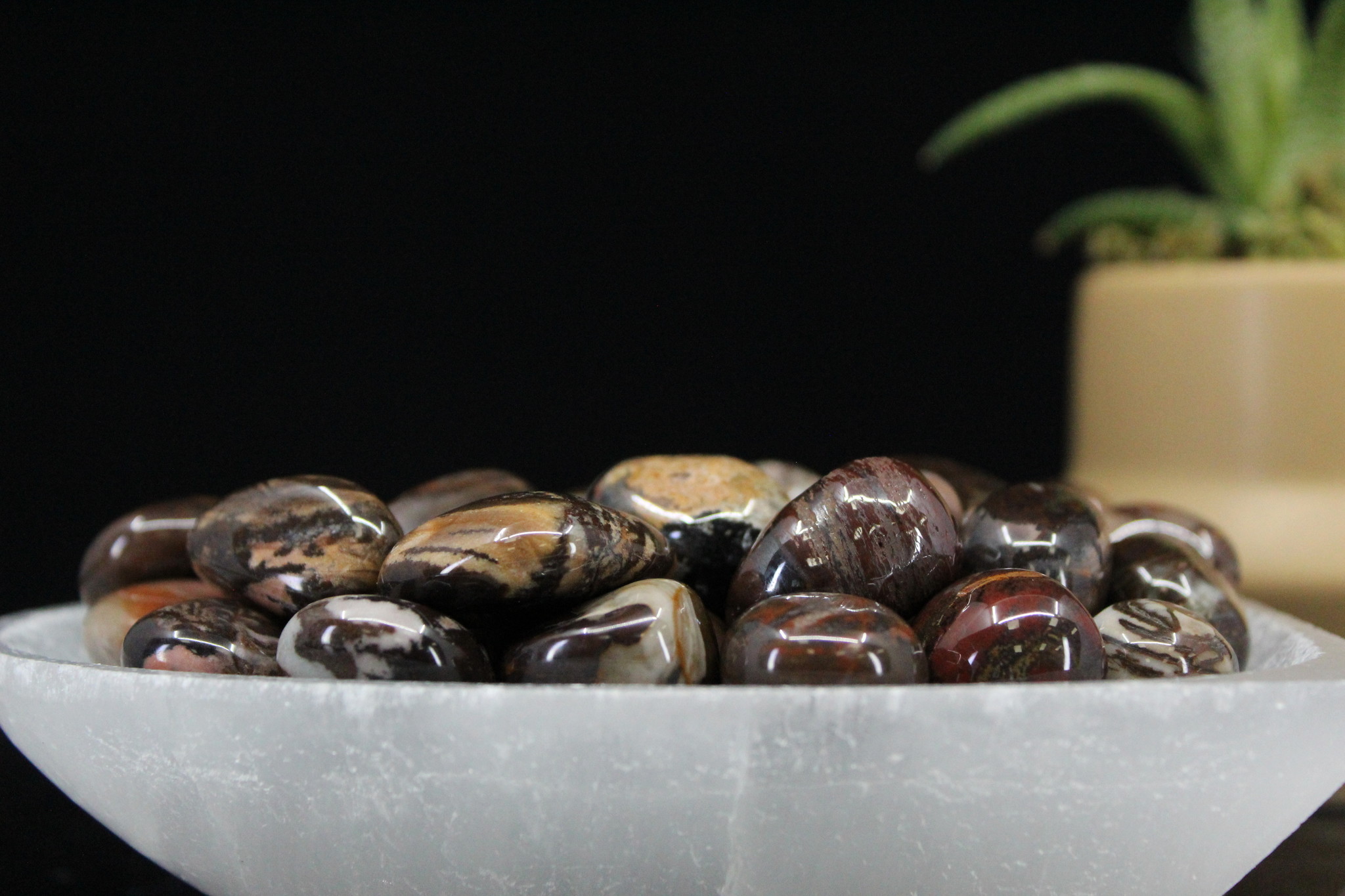 Bamboo Leaf Agate - Tumbled - Awakenings