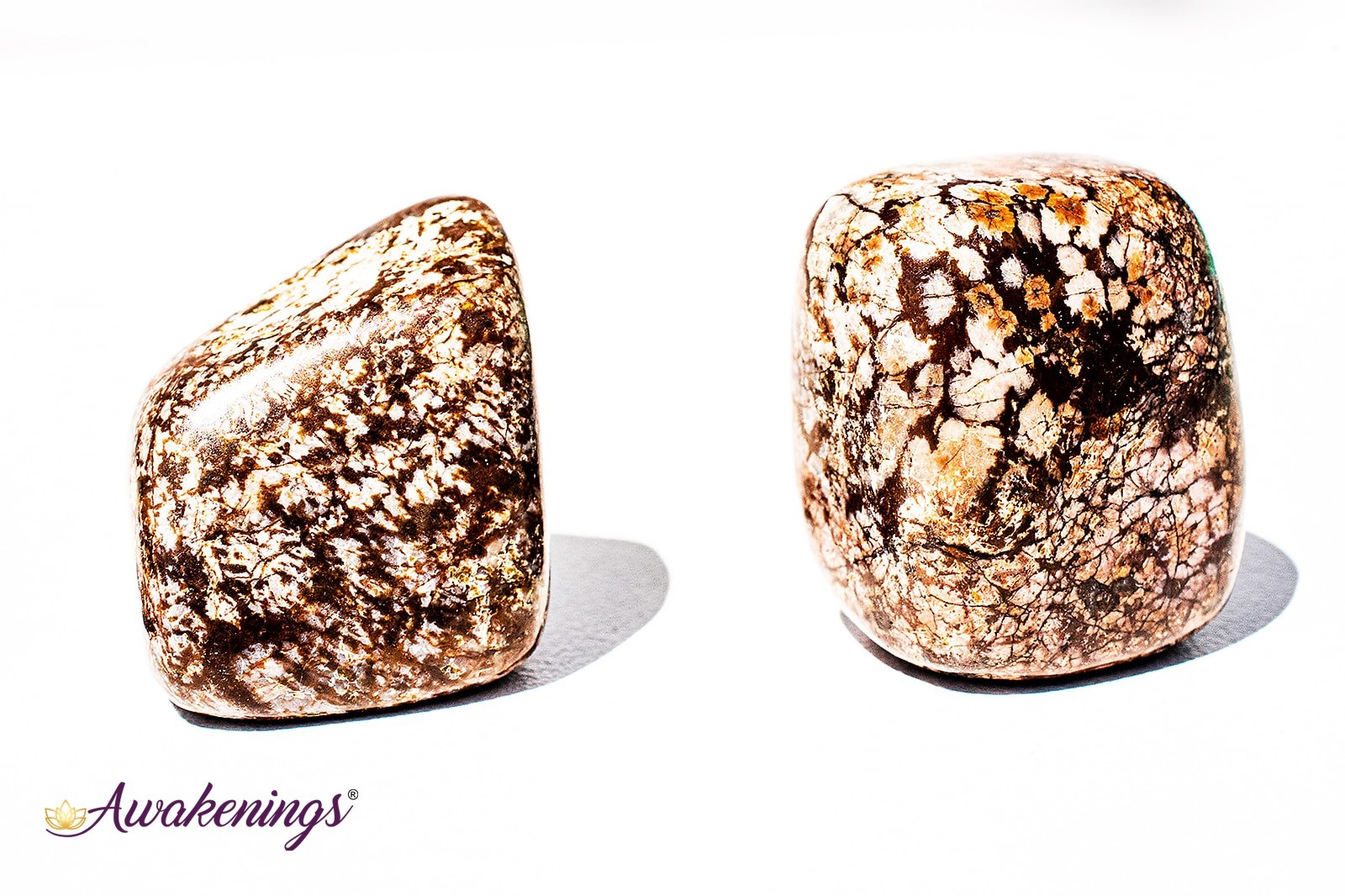 Brown/Chocolate Snowflake Obsidian- Tumbled - Awakenings