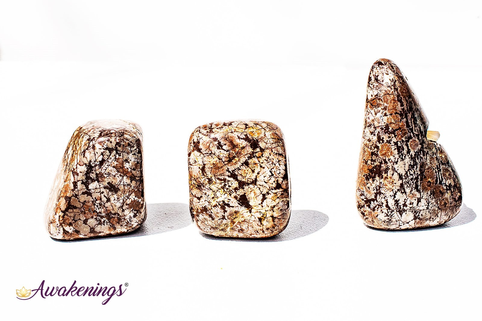 Brown/Chocolate Snowflake Obsidian- Tumbled - Awakenings