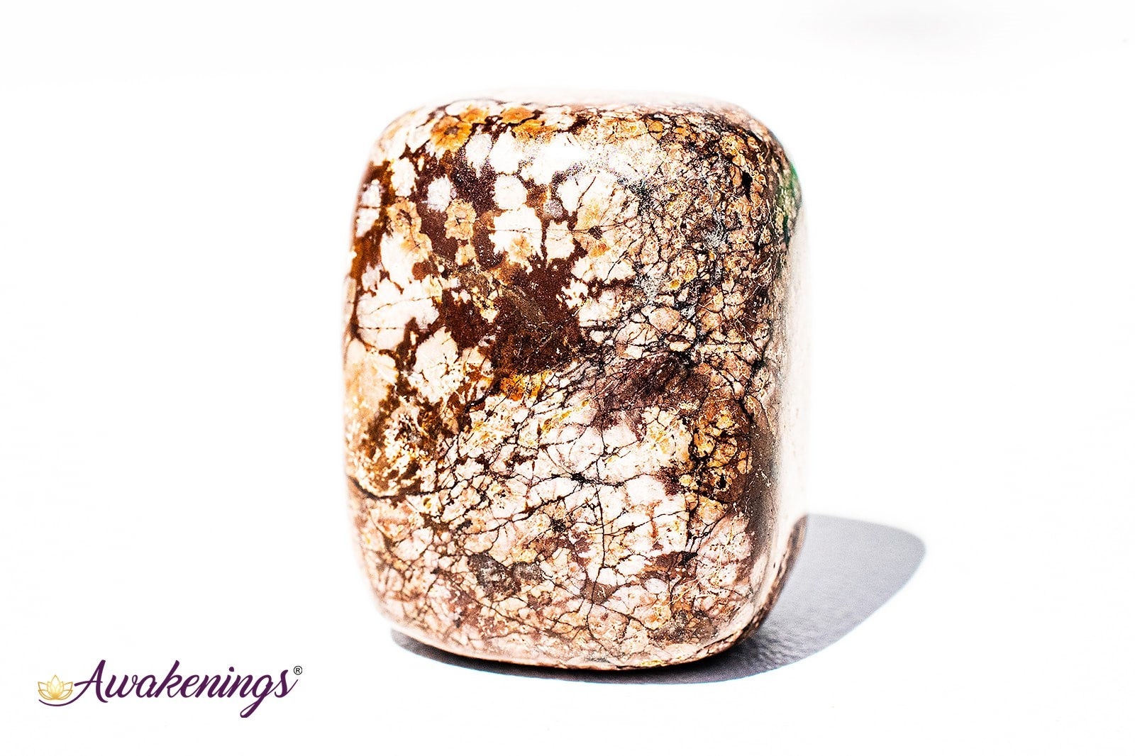 Brown/Chocolate Snowflake Obsidian- Tumbled - Awakenings