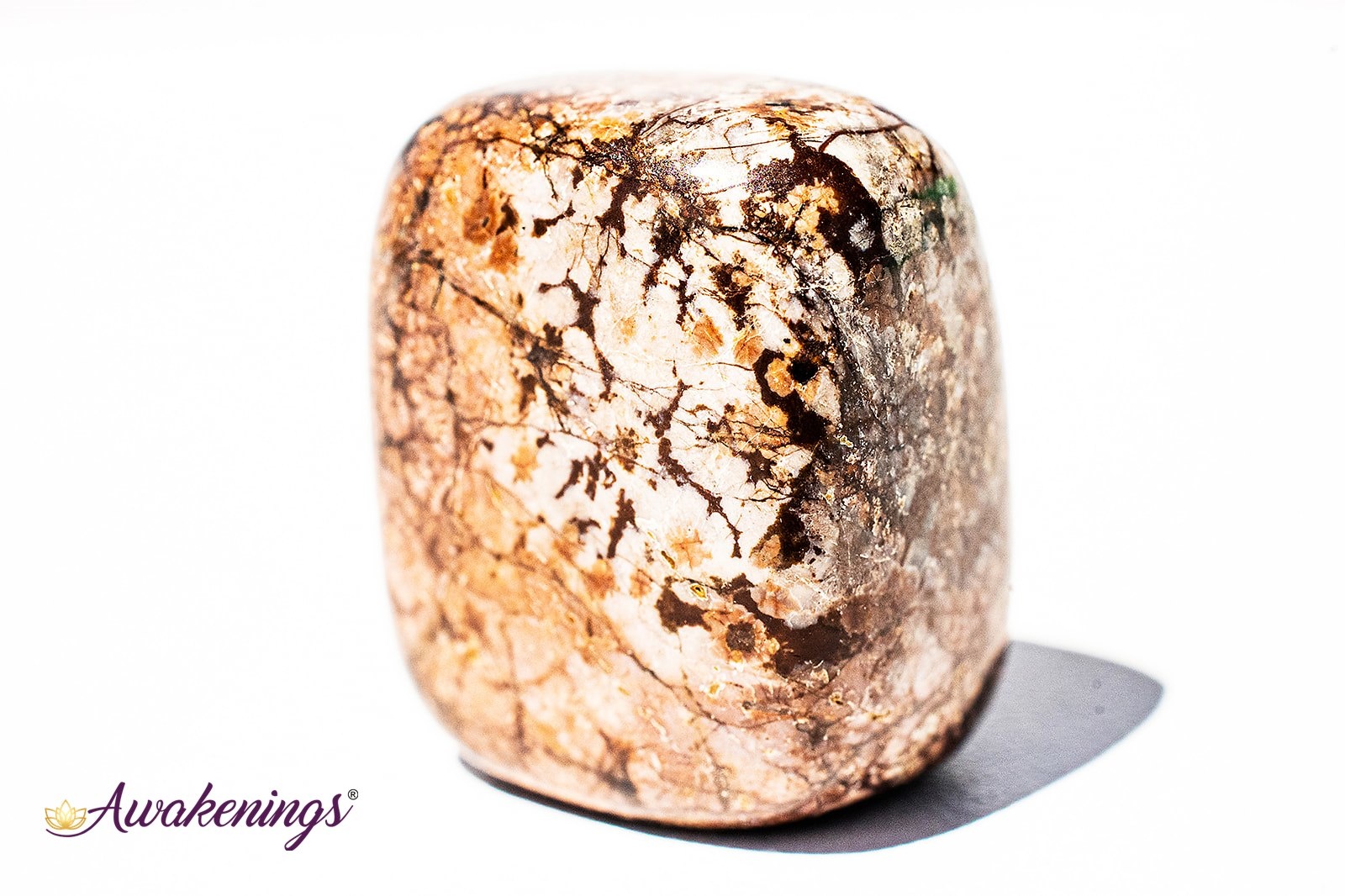 Brown/Chocolate Snowflake Obsidian- Tumbled - Awakenings