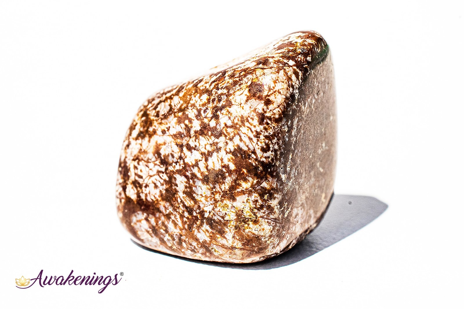 Brown/Chocolate Snowflake Obsidian- Tumbled - Awakenings