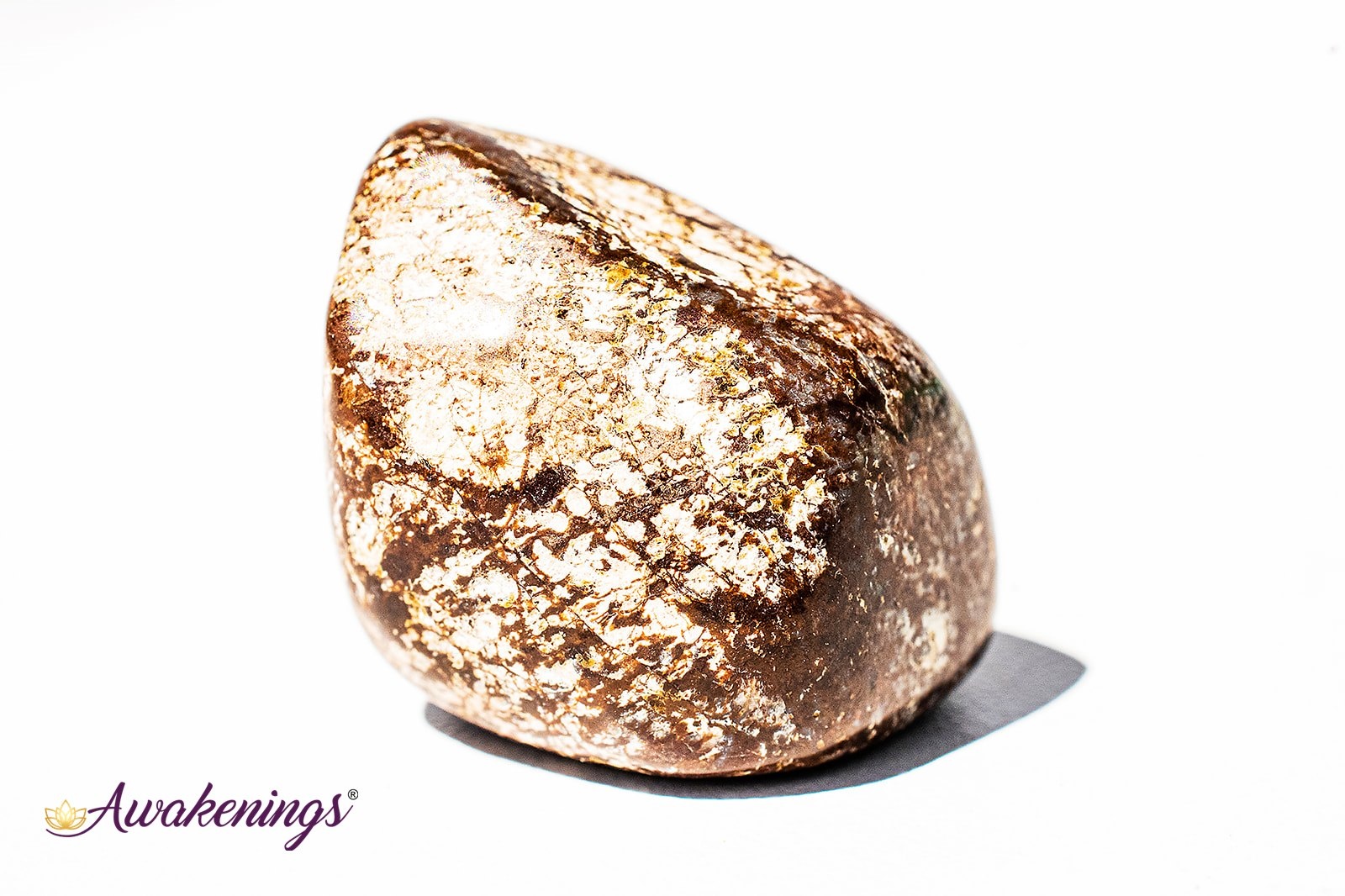 Brown/Chocolate Snowflake Obsidian- Tumbled - Awakenings