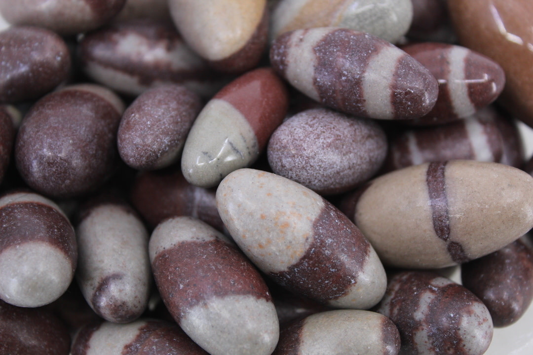 Shiva Lingam - Egg(1") - Awakenings