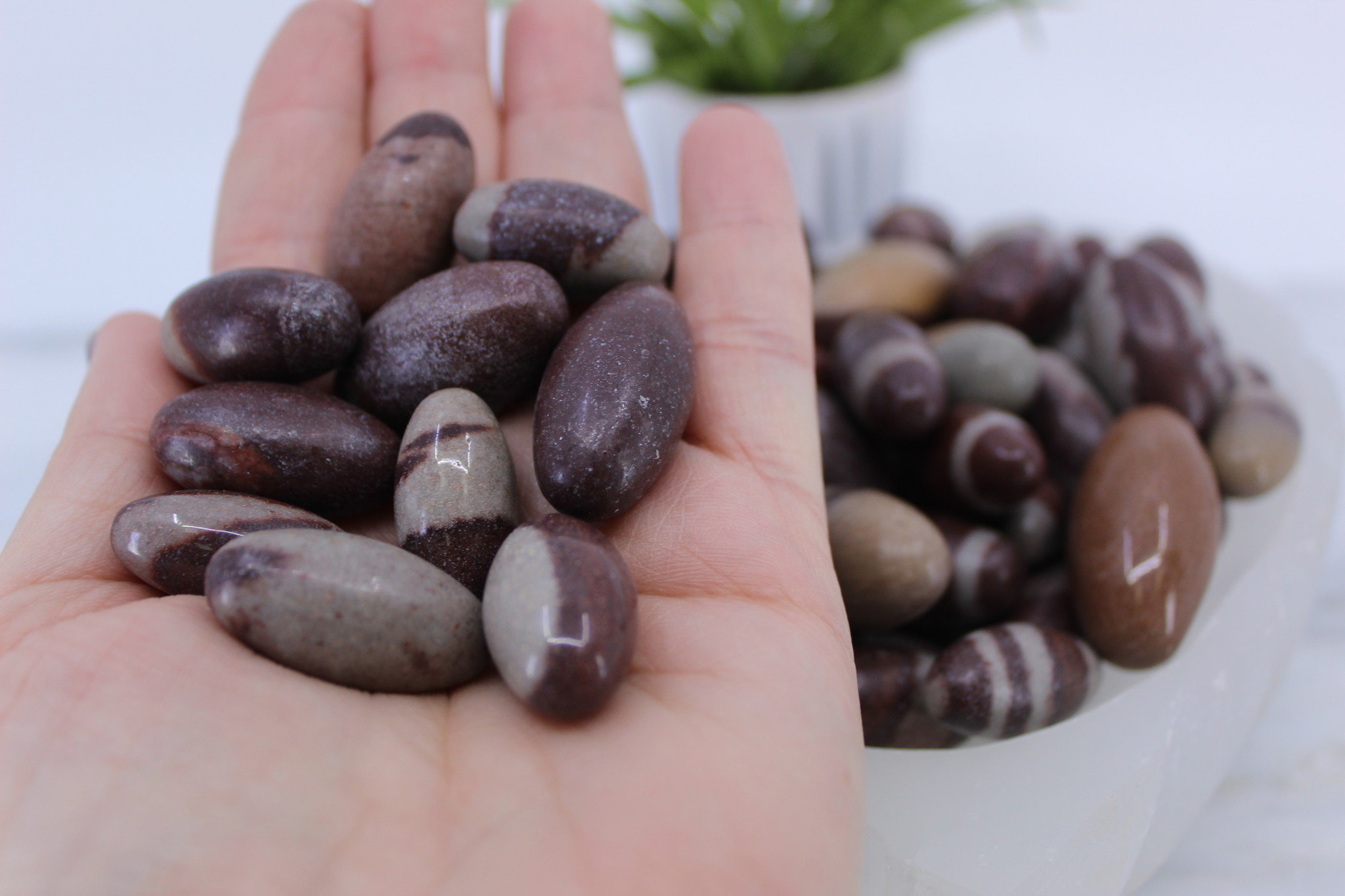 Shiva Lingam - Egg(1") - Awakenings