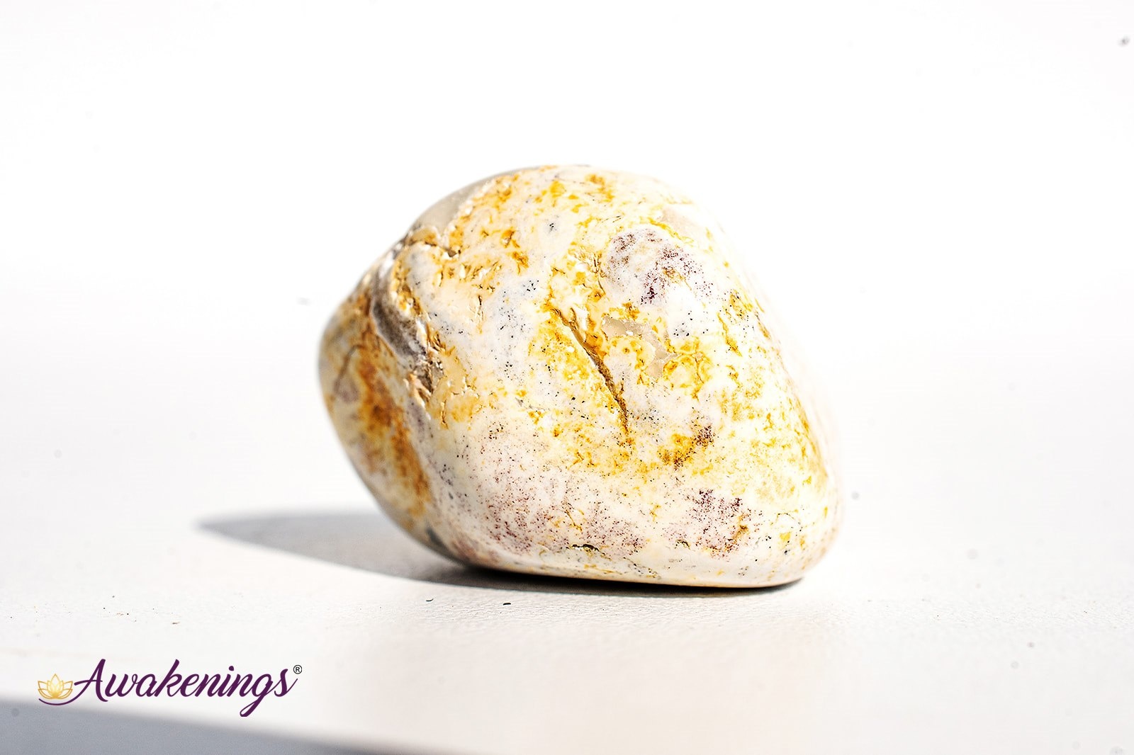 Lizardskin Agate- Tumbled - Awakenings