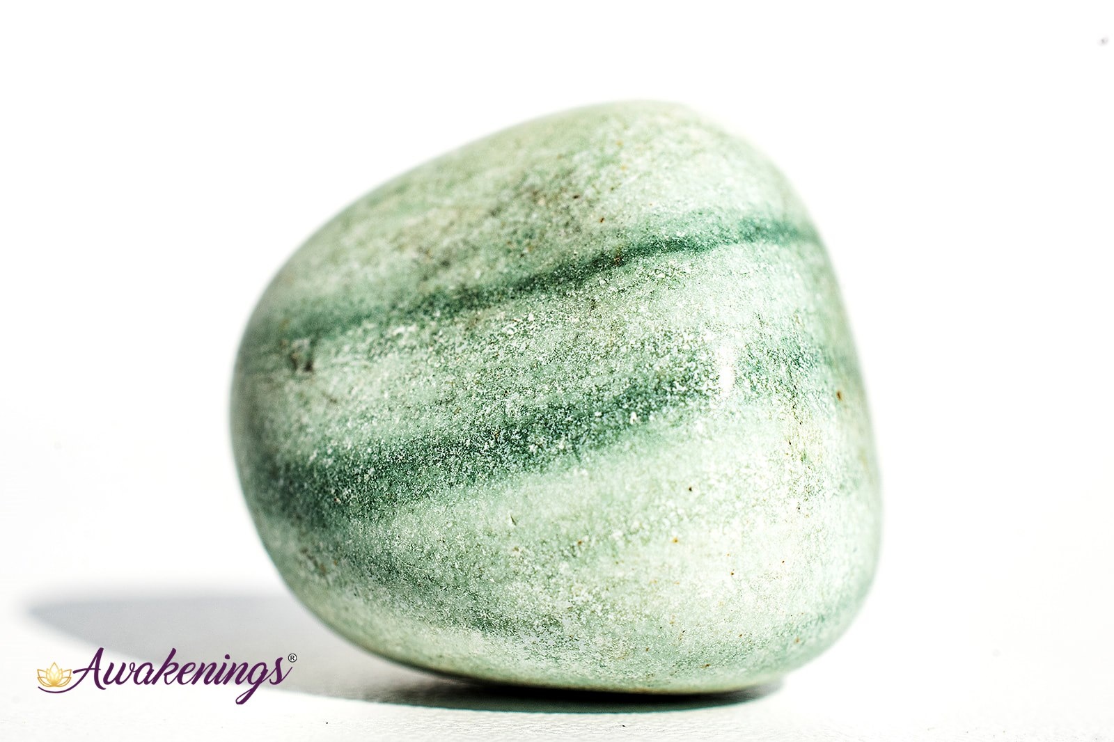 Lizardskin Agate- Tumbled - Awakenings