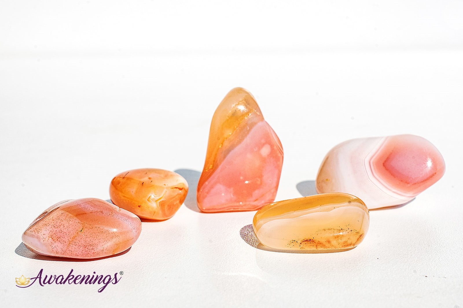 Apricot Agate - Awakenings