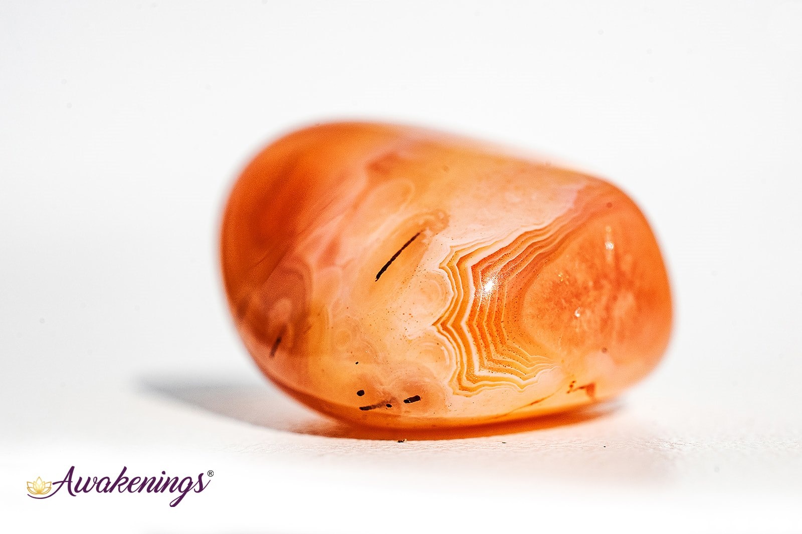 Apricot Agate - Awakenings