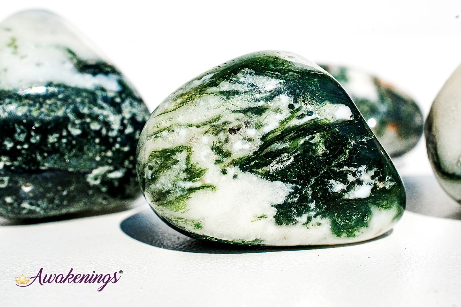 Large Tree Agate - Tumbled