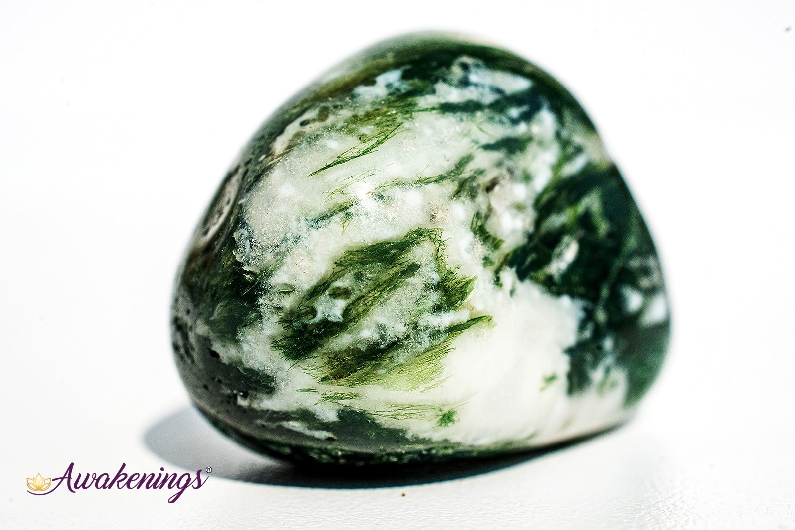 Large Tree Agate - Tumbled - Awakenings