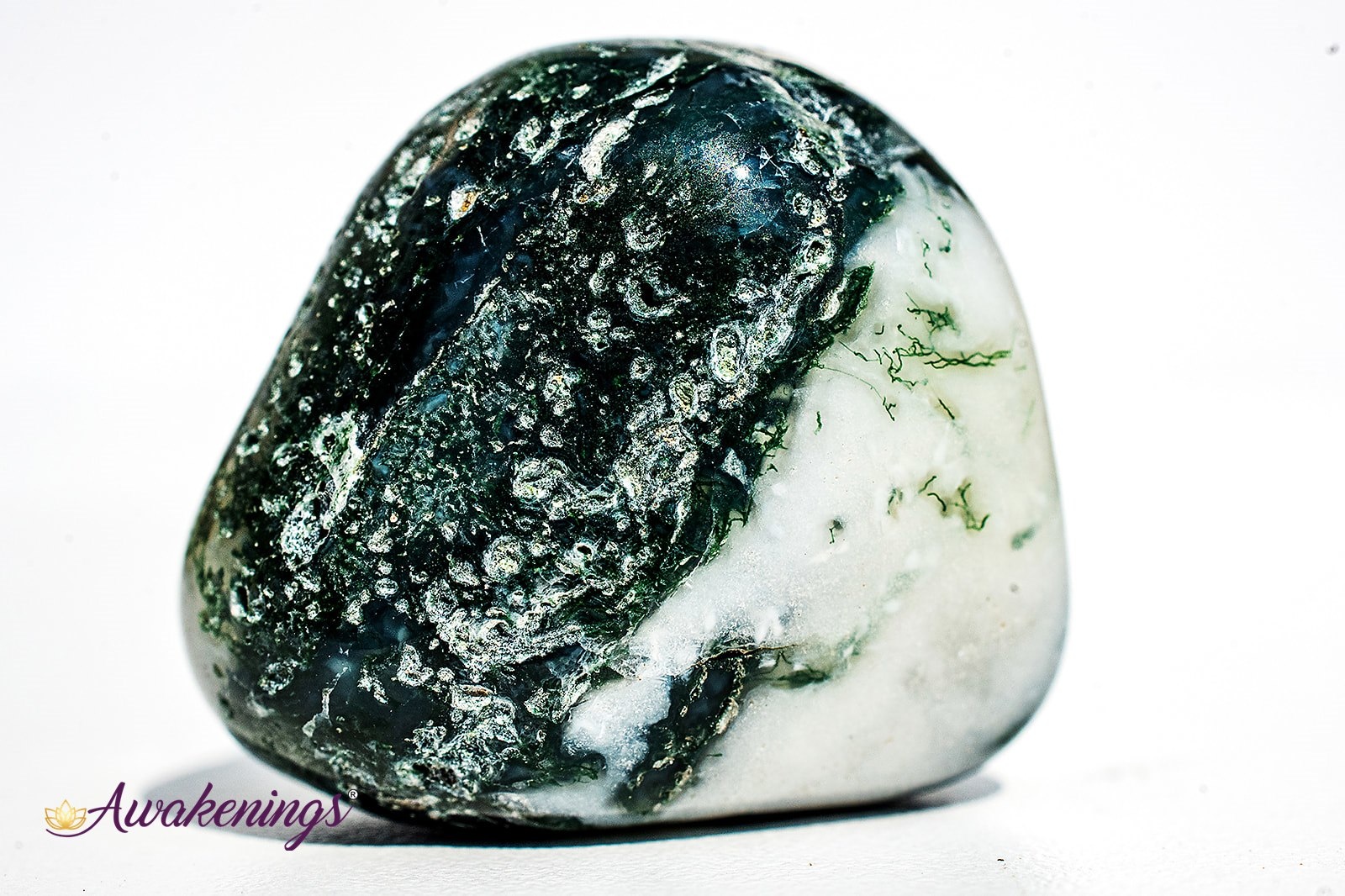 Large Tree Agate - Tumbled - Awakenings