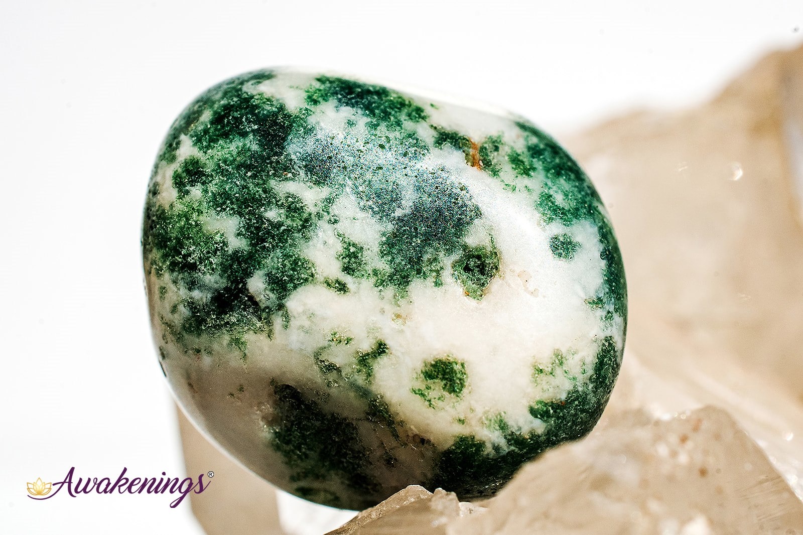 Large Tree Agate - Tumbled