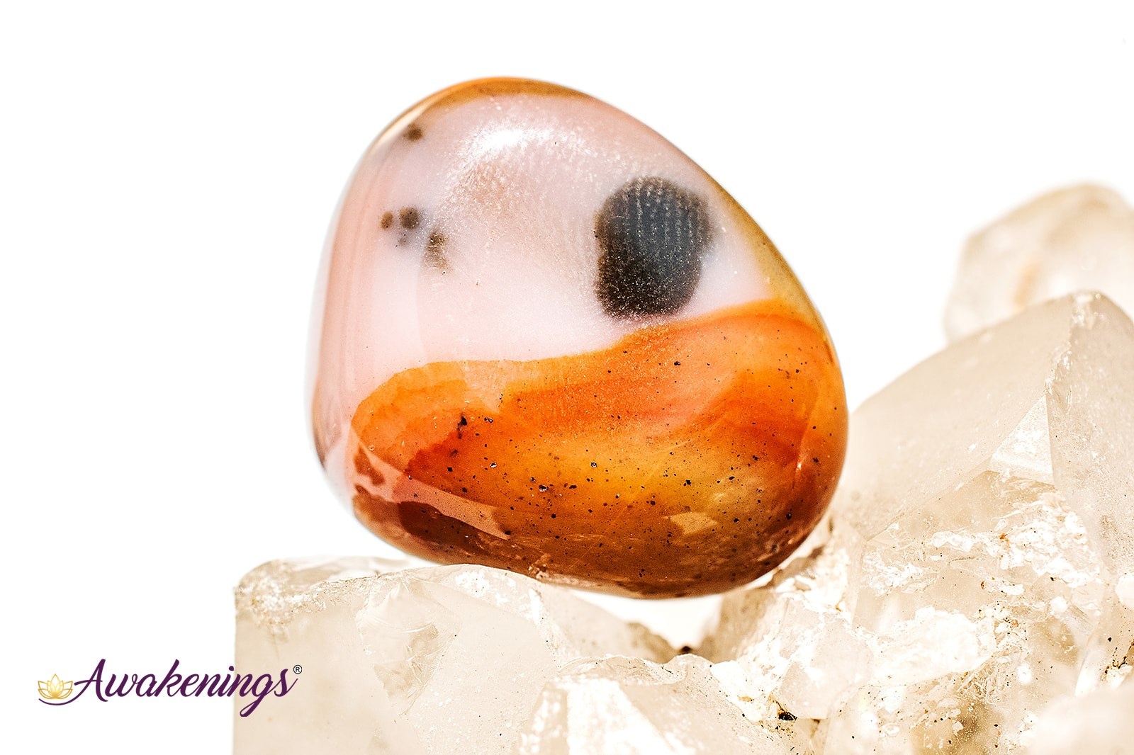 Bamboo Leaf Agate - Tumbled - Awakenings