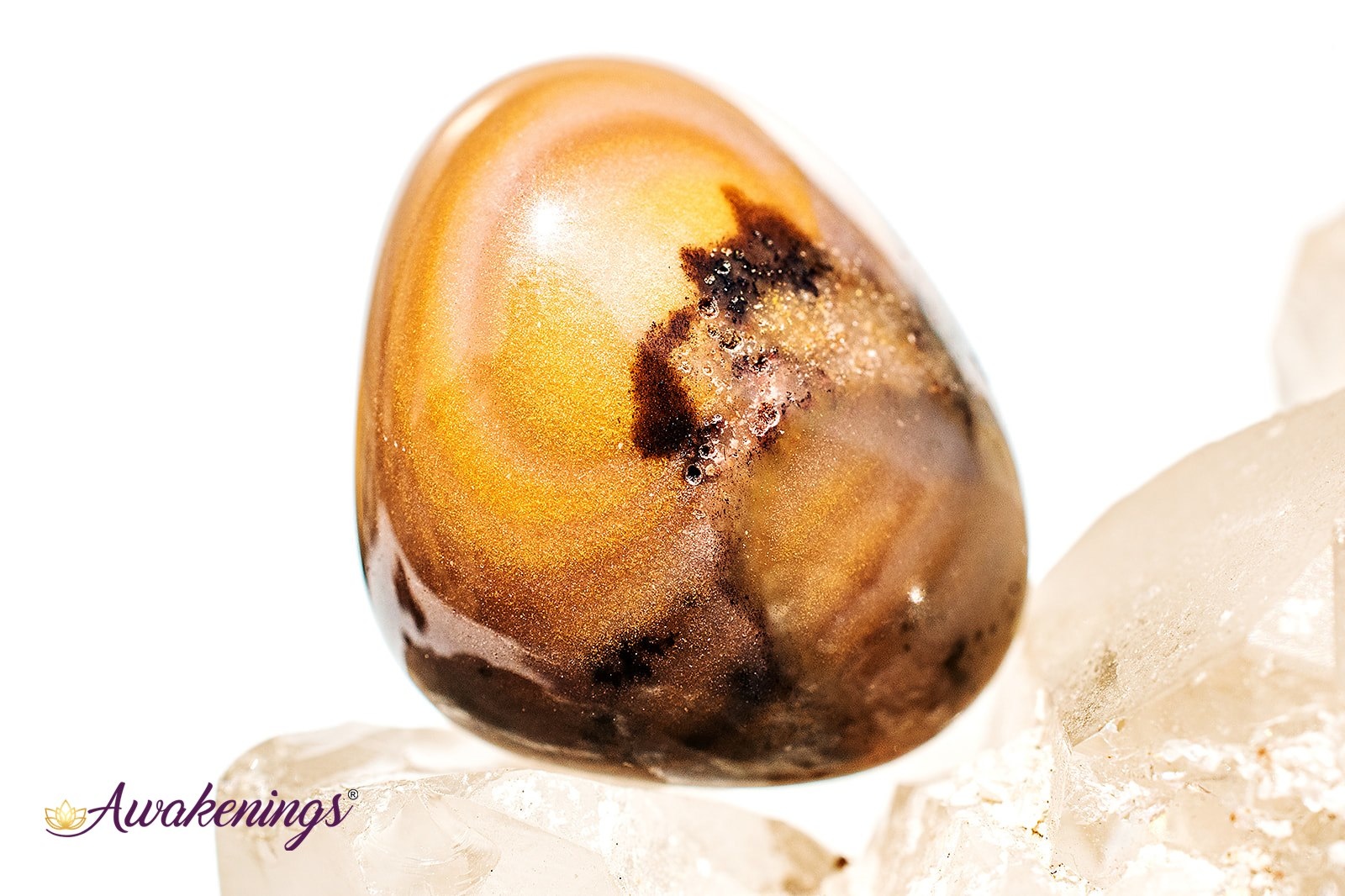 Bamboo Leaf Agate - Tumbled - Awakenings