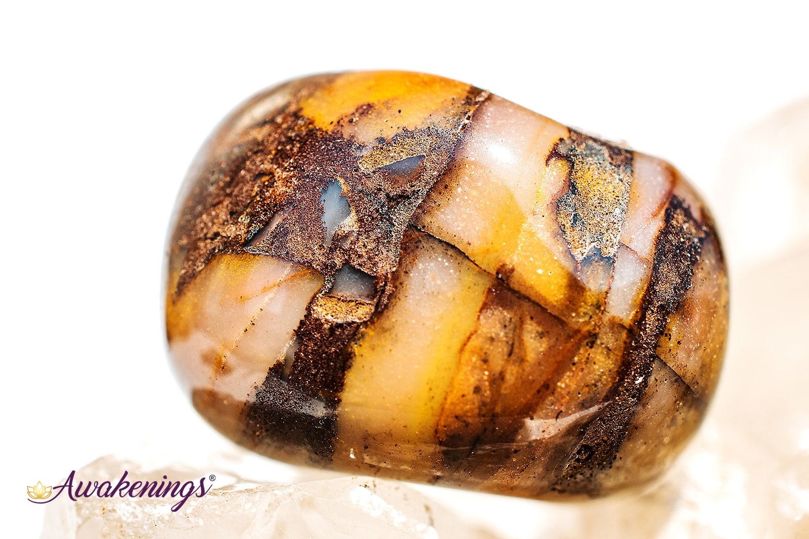 Bamboo Leaf Agate - Tumbled - Awakenings