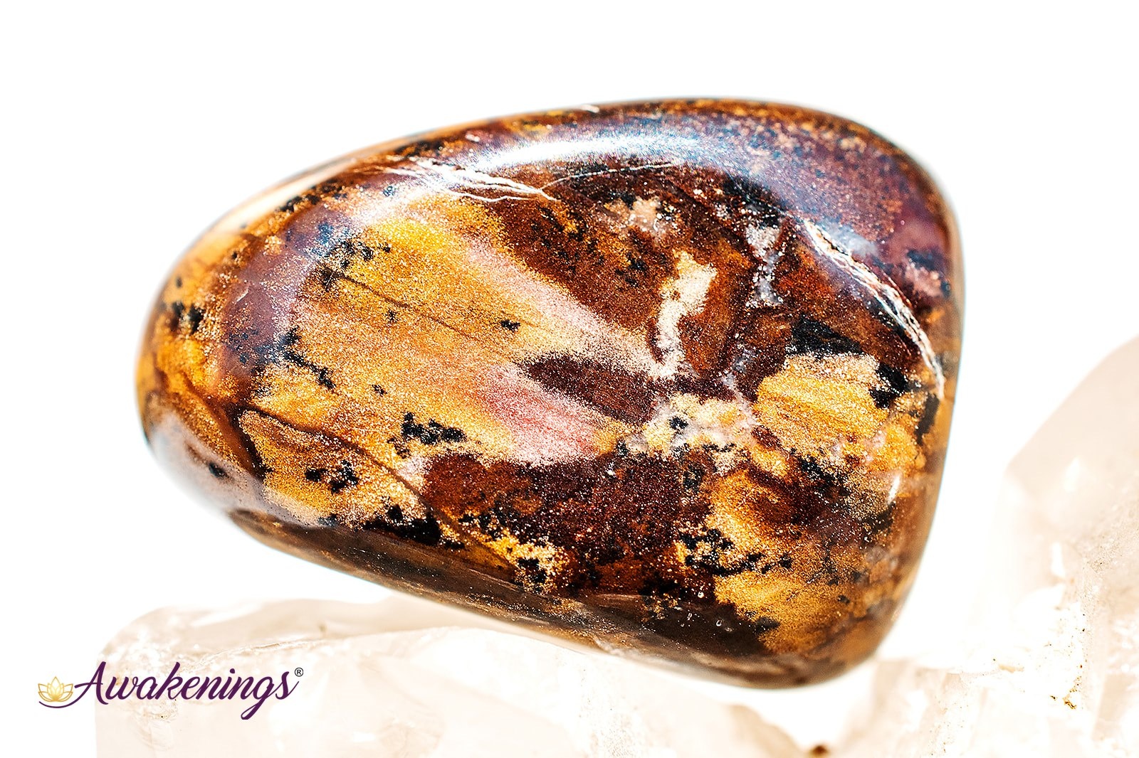 Bamboo Leaf Agate - Tumbled - Awakenings