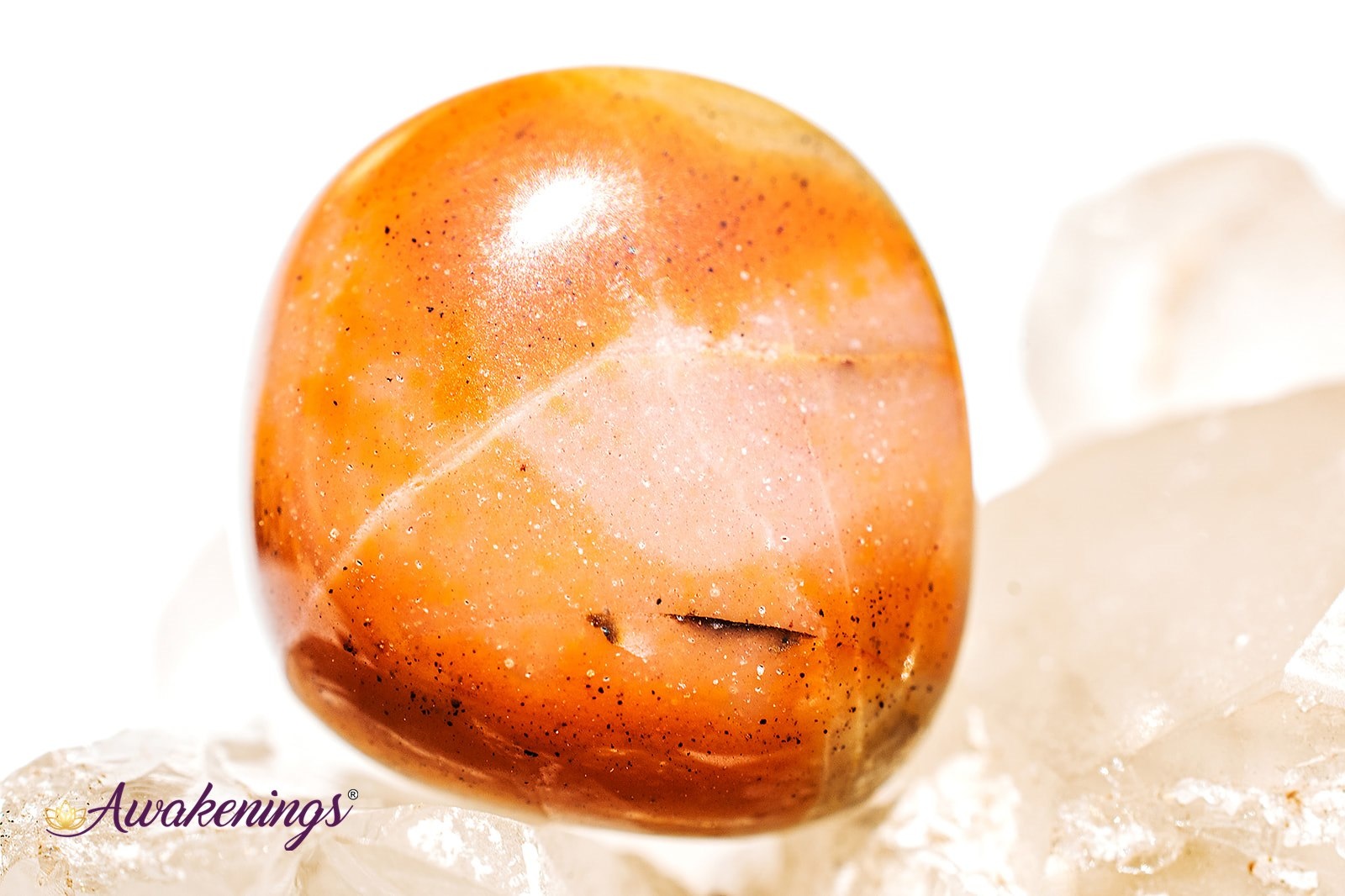 Bamboo Leaf Agate - Tumbled - Awakenings